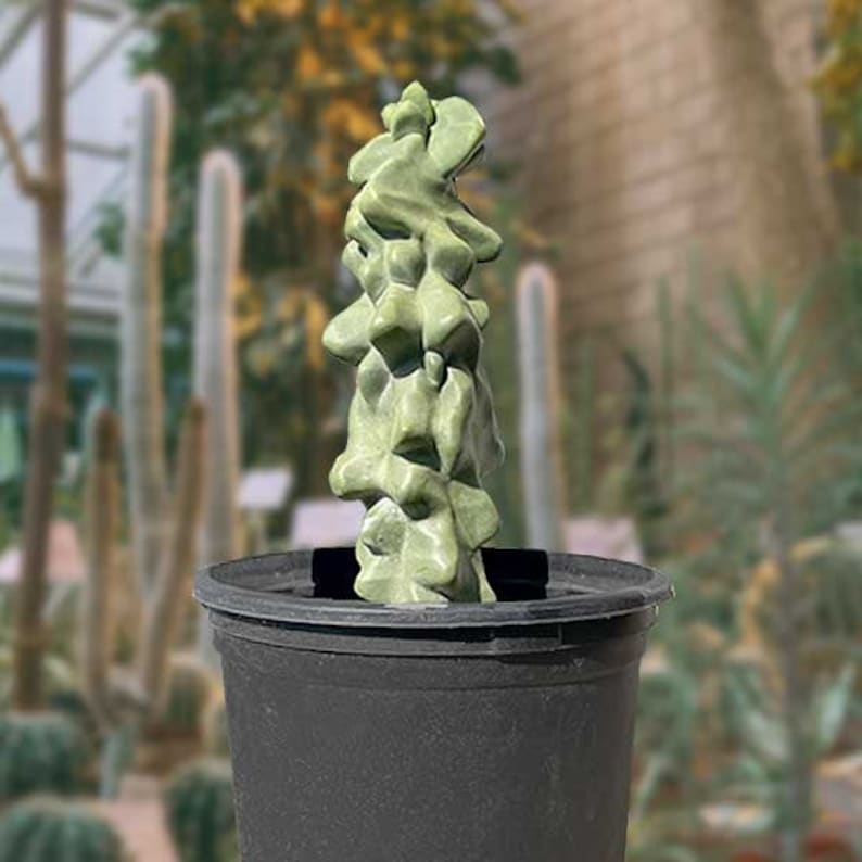 Totem Pole Cactus - Etsy
