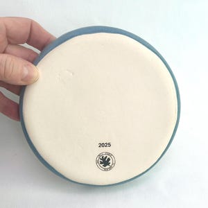 Celtic Knot Stoneware Plate, Handmade Decorative Ceramic Dish for Home ...