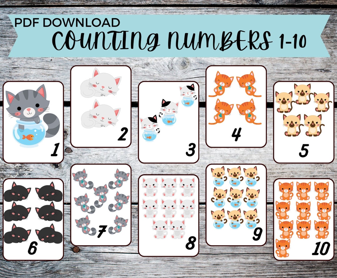 Printable Number Flashcards With Adorable Cats Homeschool - Etsy
