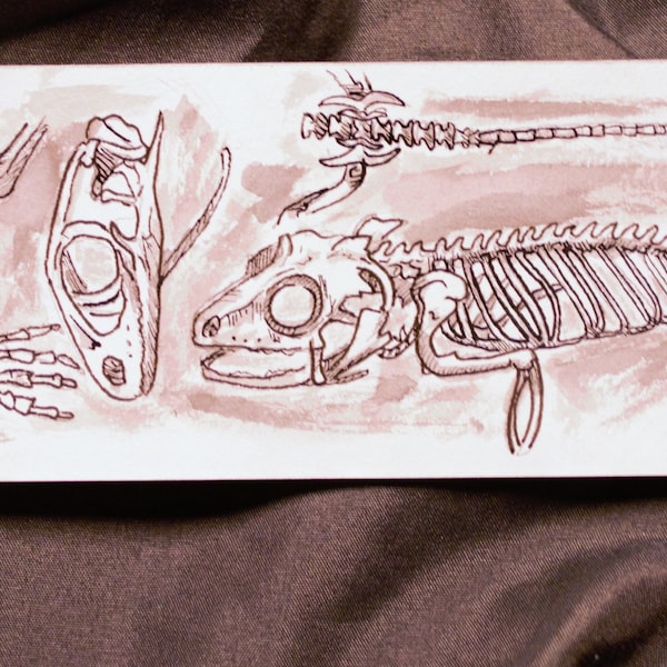 Leopard Gecko Skull - Etsy