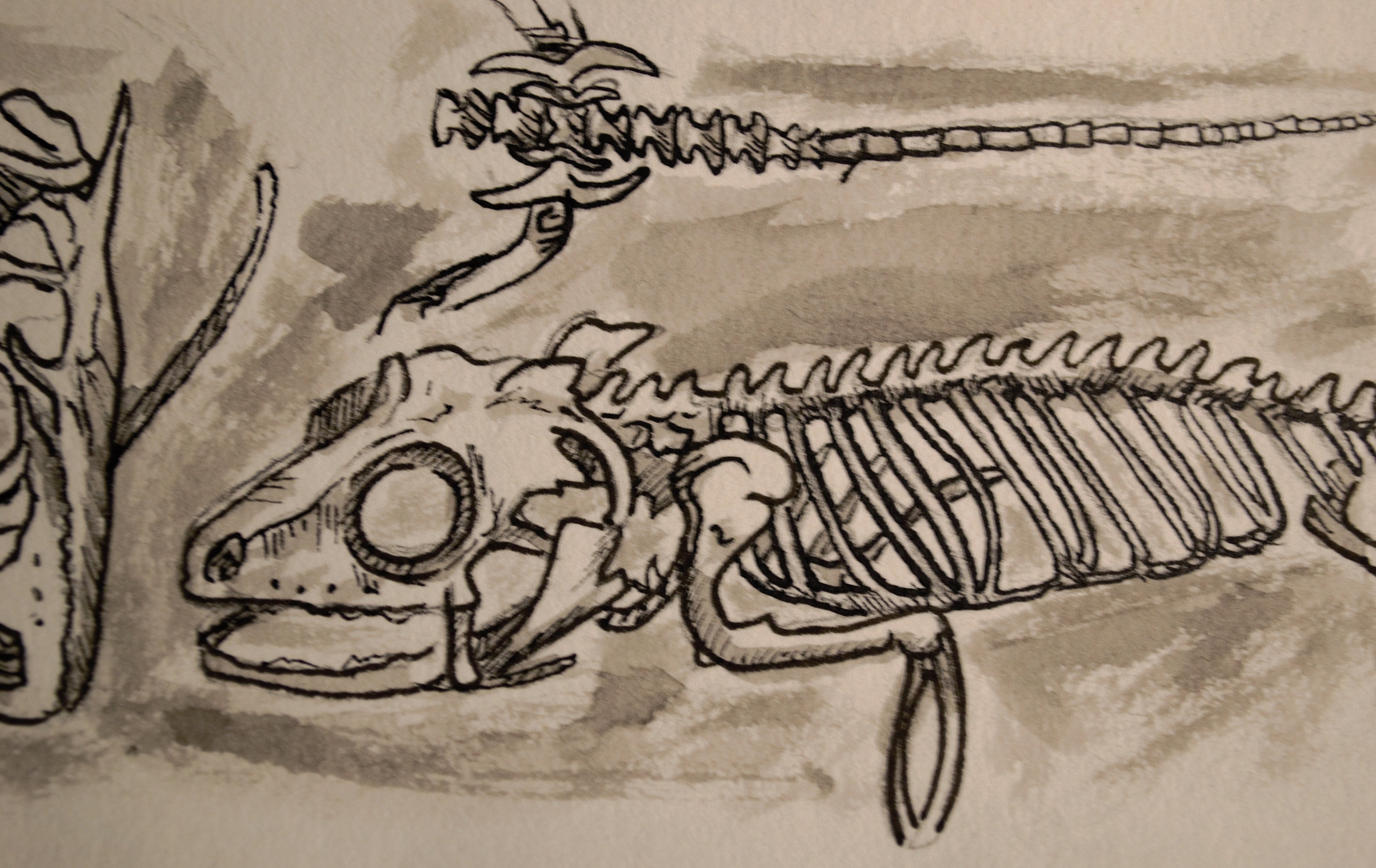 Leopard Gecko Bones and Skull Ink Art Print - Etsy