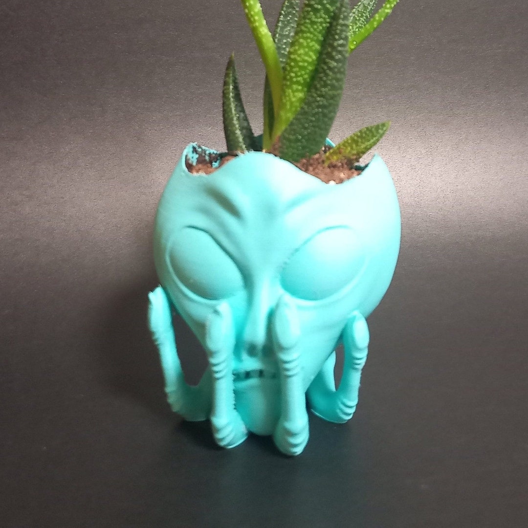 Alien Planter, Fun Planter, Funny Housewarming Gift, Extraterrestrial ...