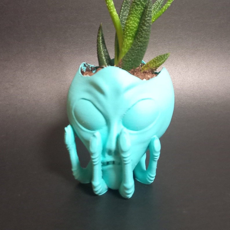 Alien Planter, Fun Planter, Funny Housewarming Gift, Extraterrestrial ...