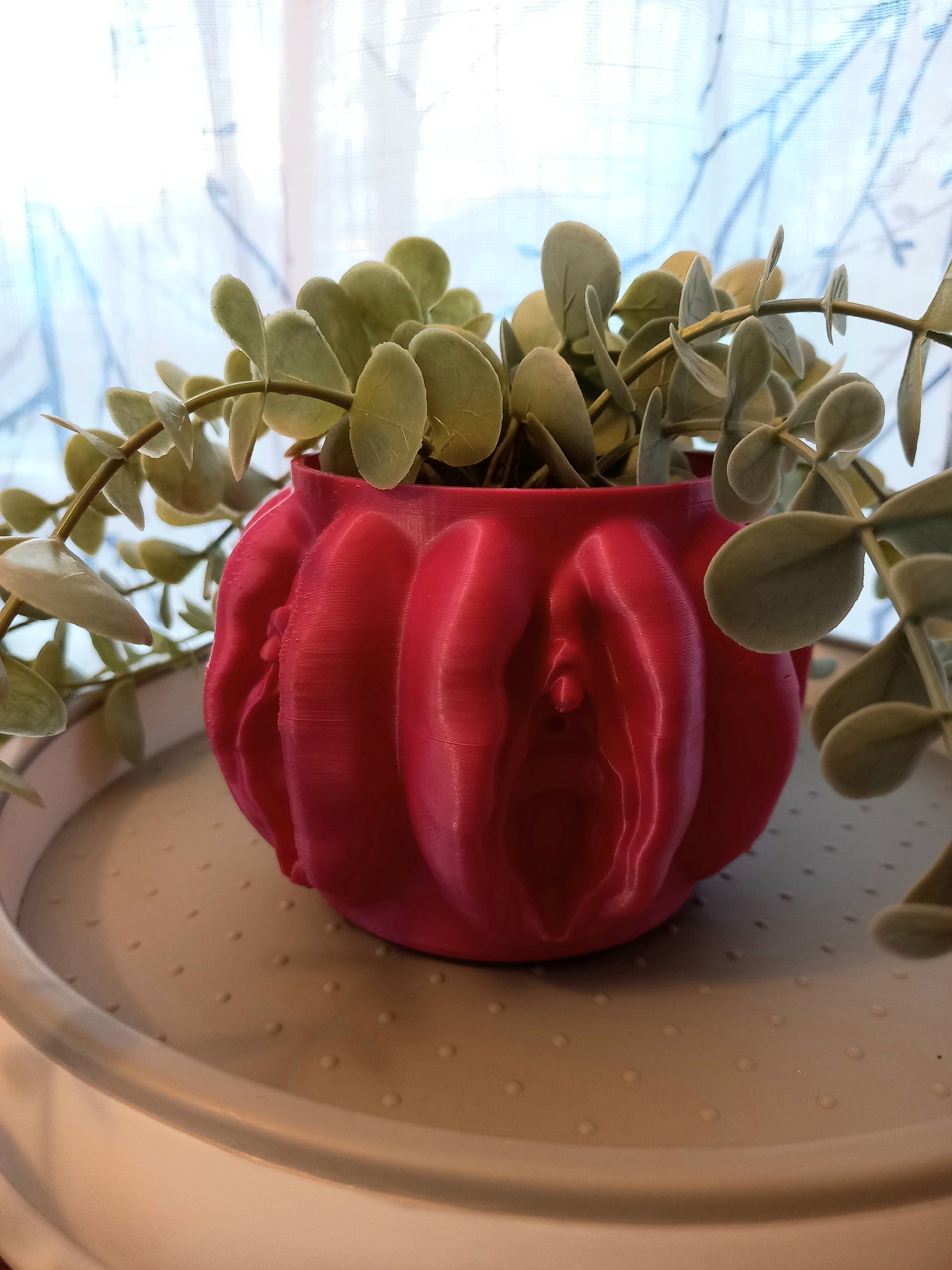 Female Body Planter, Fun Housewarming Gift, Funny Succulent Pot, Vulva Planter, Vagina Art, Sexy ...