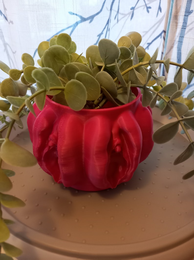 Female Body Planter, Fun Housewarming Gift, Funny Succulent Pot, Vulva ...