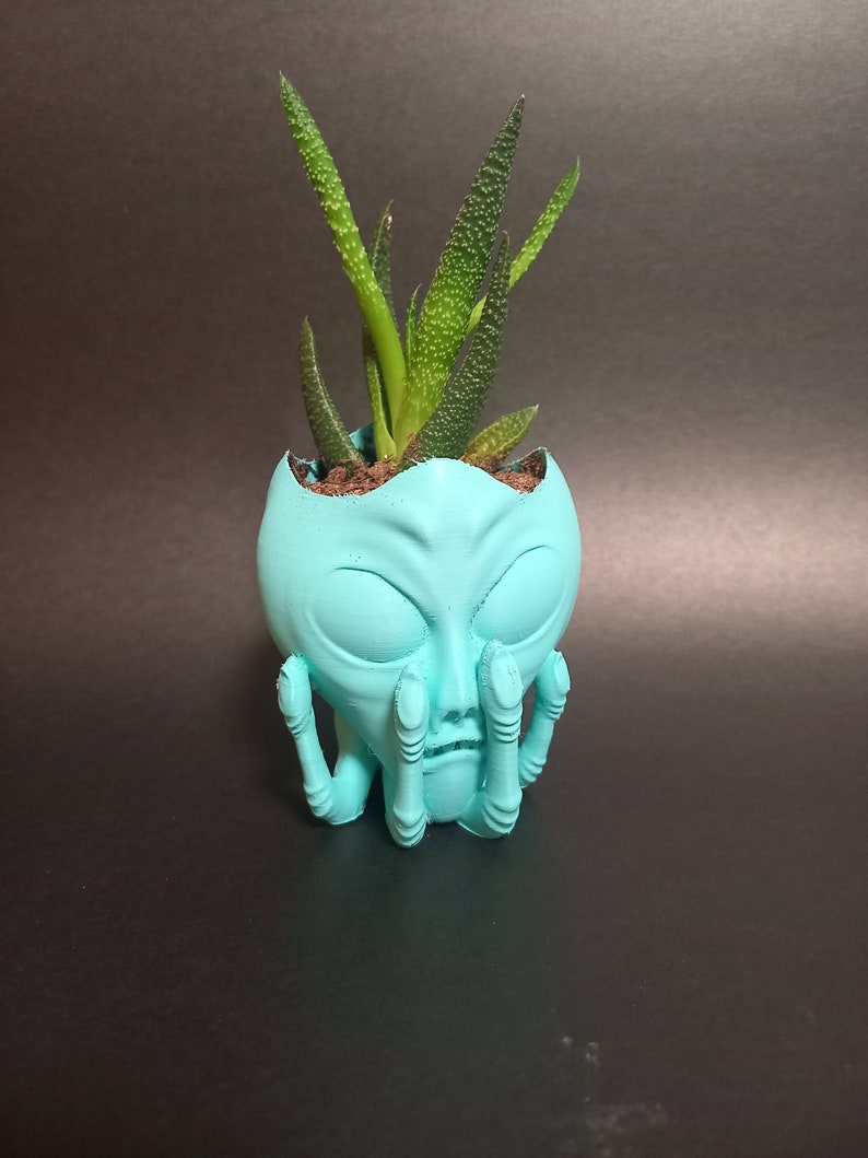 Alien Planter, Fun Planter, Funny Housewarming Gift, Extraterrestrial ...