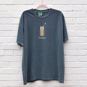 It's Owl Good Funny Shirt Womens Tshirt Owl Lover Gift Gifts Bird T ...