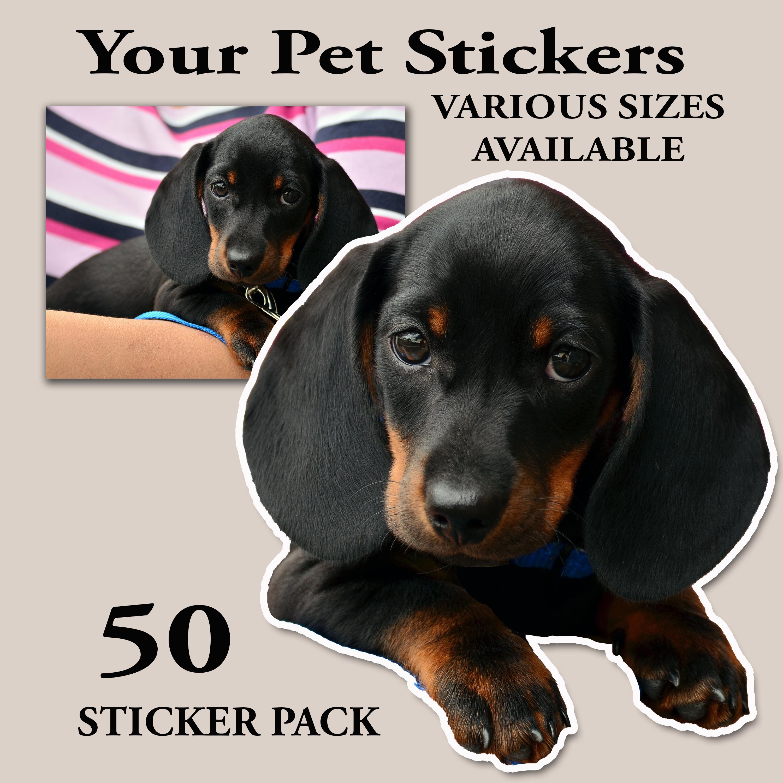 Custom Dog, Pet Stickers 50 Sticker Pack Gift Stickers Sticker Sheet ...