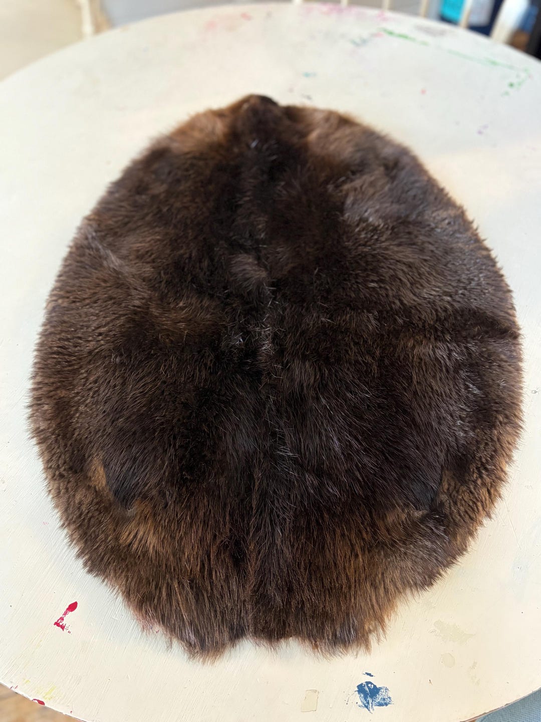 Tanned Beaver Pelt - Etsy Canada