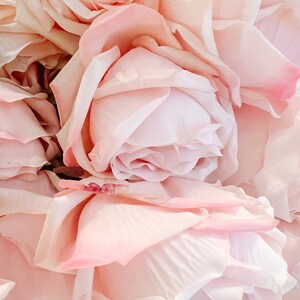 The nana Real Touch Ruffled Garden Rose - Etsy
