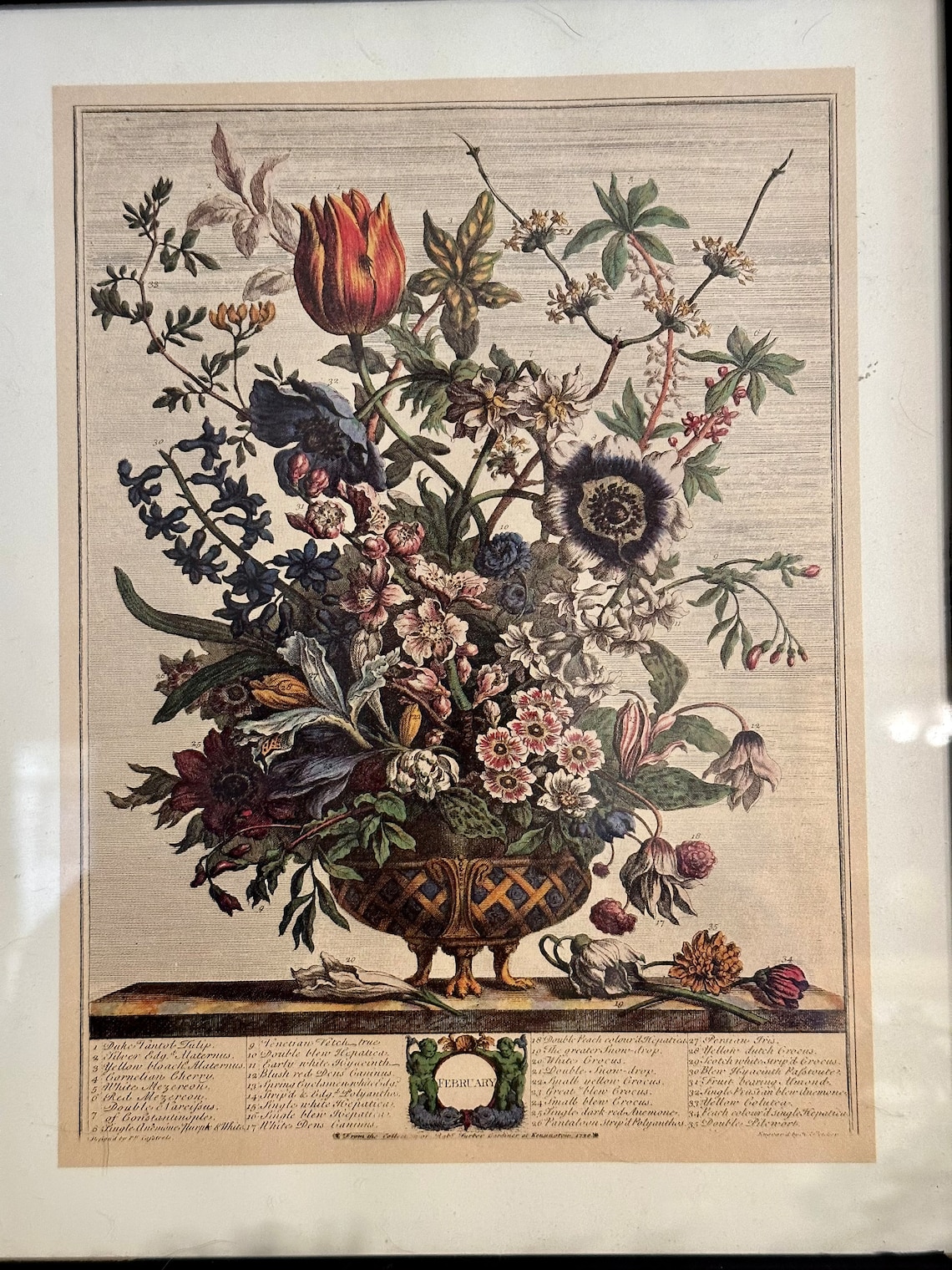 Robert Ferber February 12 Month of Flowers Botanical Lithograph Print ...