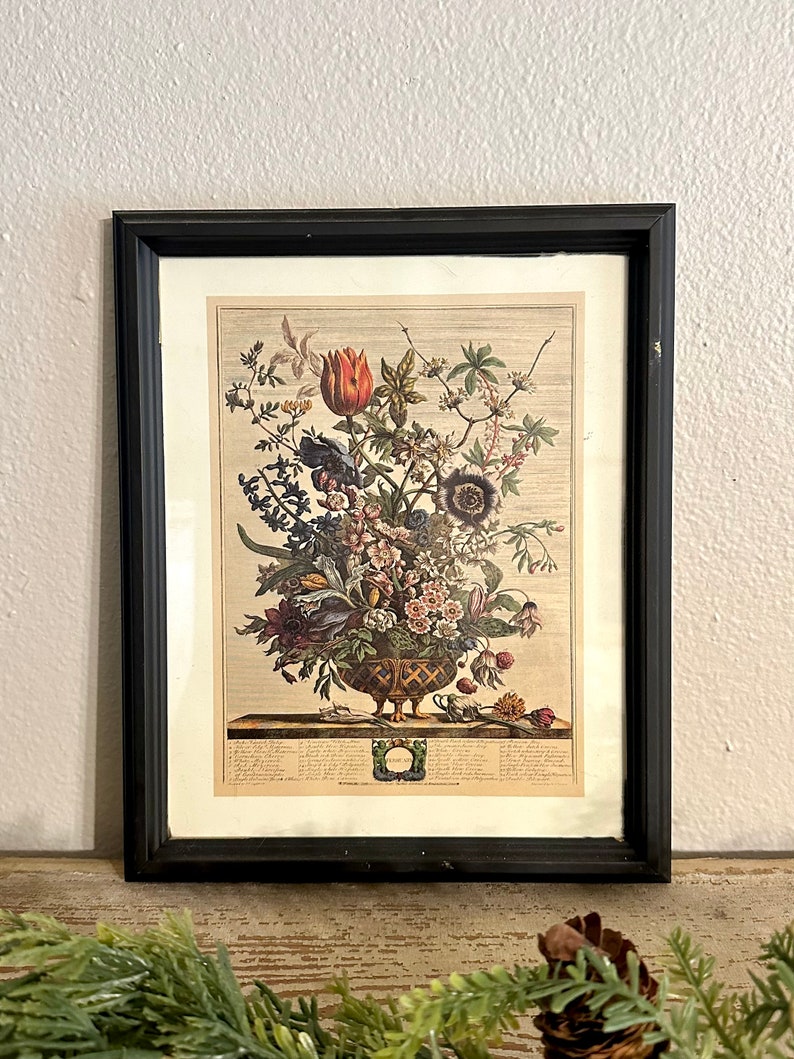 Robert Ferber February 12 Month of Flowers Botanical Lithograph Print ...