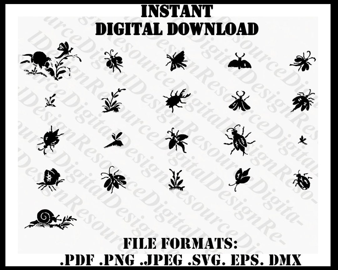 21 Bug Vector Graphics, Beetle SVG, Moth Svg, Graphic Design, Instant ...