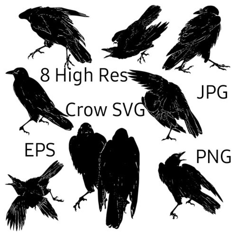 8 Black Crows Rook SVG Clipart Halloween Decor Fall - Etsy