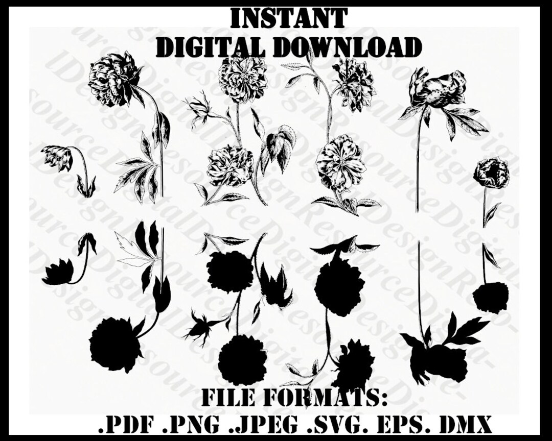 12 Spring Flower Svg, Florist Svg, Wedding Svg, Graphic Design, Instant ...