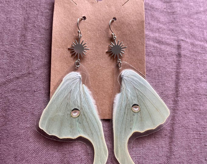 Luna Moth Laminate - Etsy