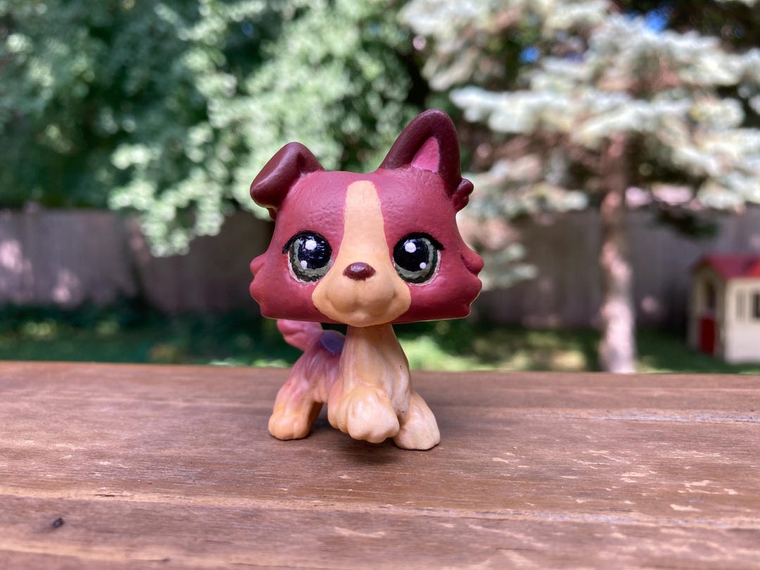 Littlest Pet Shop Lps Custom Collie - Etsy