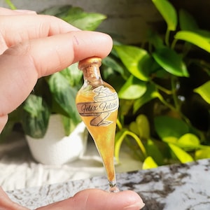 Felix Felicis Potion Liquid Luck Glass Vial Felix Felicis Necklace ...