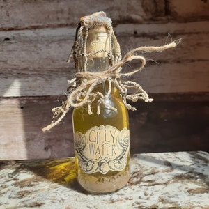 Gilly Water | Magical Gillywater Herbology Potion Bottle | Glass ...