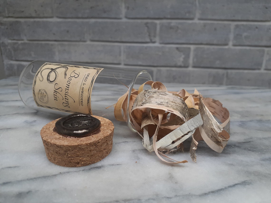 Boomslang Skin Magical Snake Skin Potion Ingredient Jar - Etsy