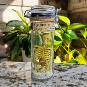 Knock-turn Alley Specimen Skeletal Remains Skeleton Potion Ingredient ...