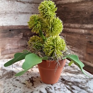 Mimbulus Mimbletonia Plant | Faux Potted Magical Plant | Neville ...