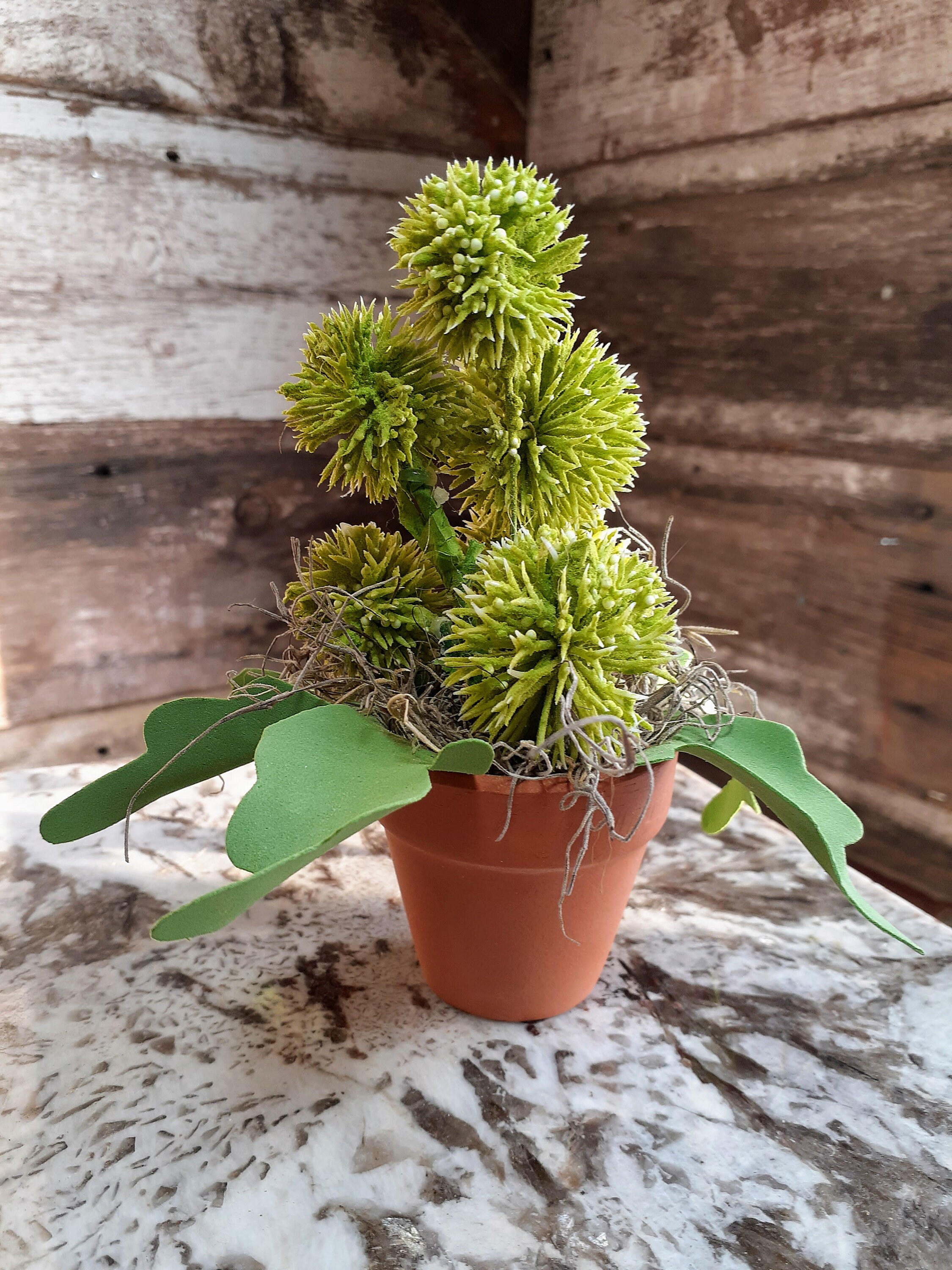 Mimbulus Mimbletonia Plant | Faux Potted Magical Plant | Neville ...