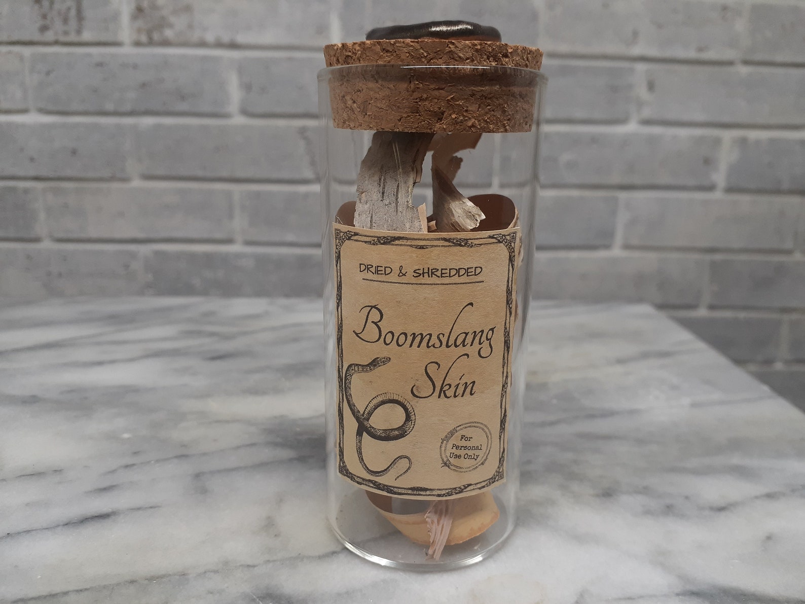 Boomslang Skin Magical Snake Skin Potion Ingredient Jar - Etsy