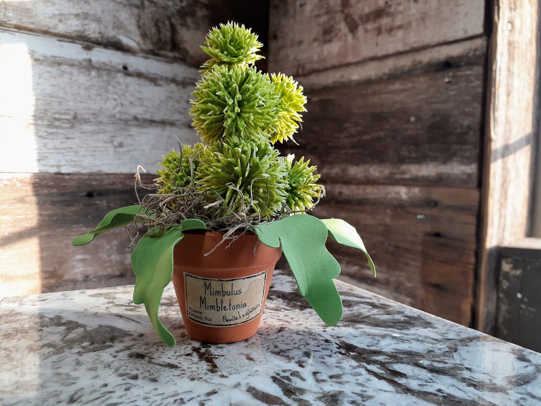 Mimbulus Mimbletonia Plant | Faux Potted Magical Plant | Neville ...