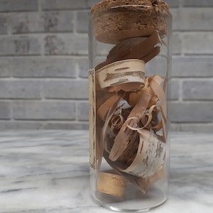 Boomslang Skin Magical Snake Skin Potion Ingredient Jar Glass ...