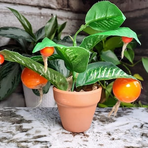 Dirigible Plums Magical Plant | Potted Herbology Replica | Witch ...
