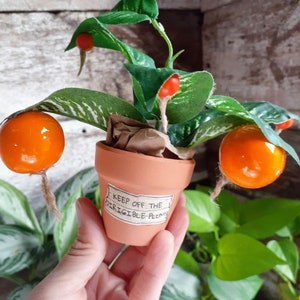 Dirigible Plums Magical Plant | Potted Herbology Replica | Witch ...