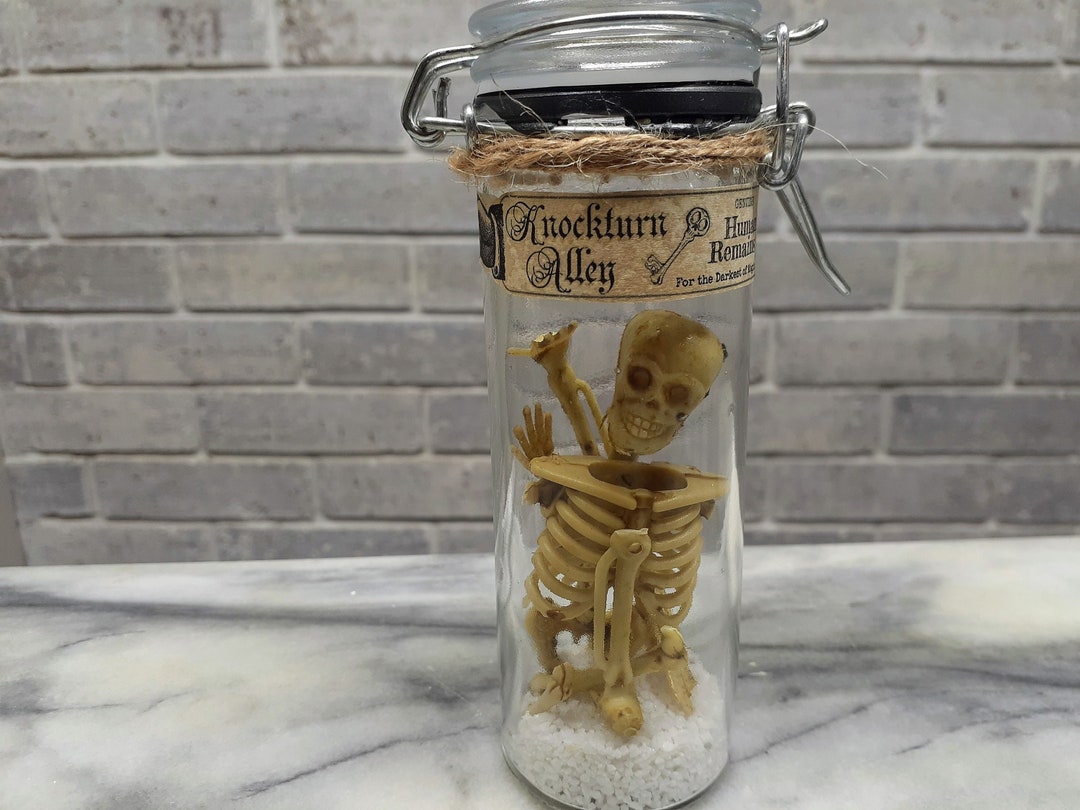 Knock-turn Alley Specimen Skeletal Remains Skeleton Potion - Etsy