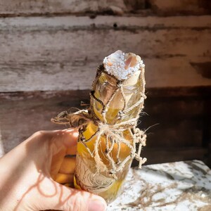 Gilly Water | Magical Gillywater Herbology Potion Bottle | Glass ...