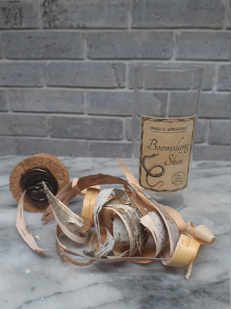 Boomslang Skin Magical Snake Skin Potion Ingredient Jar - Etsy