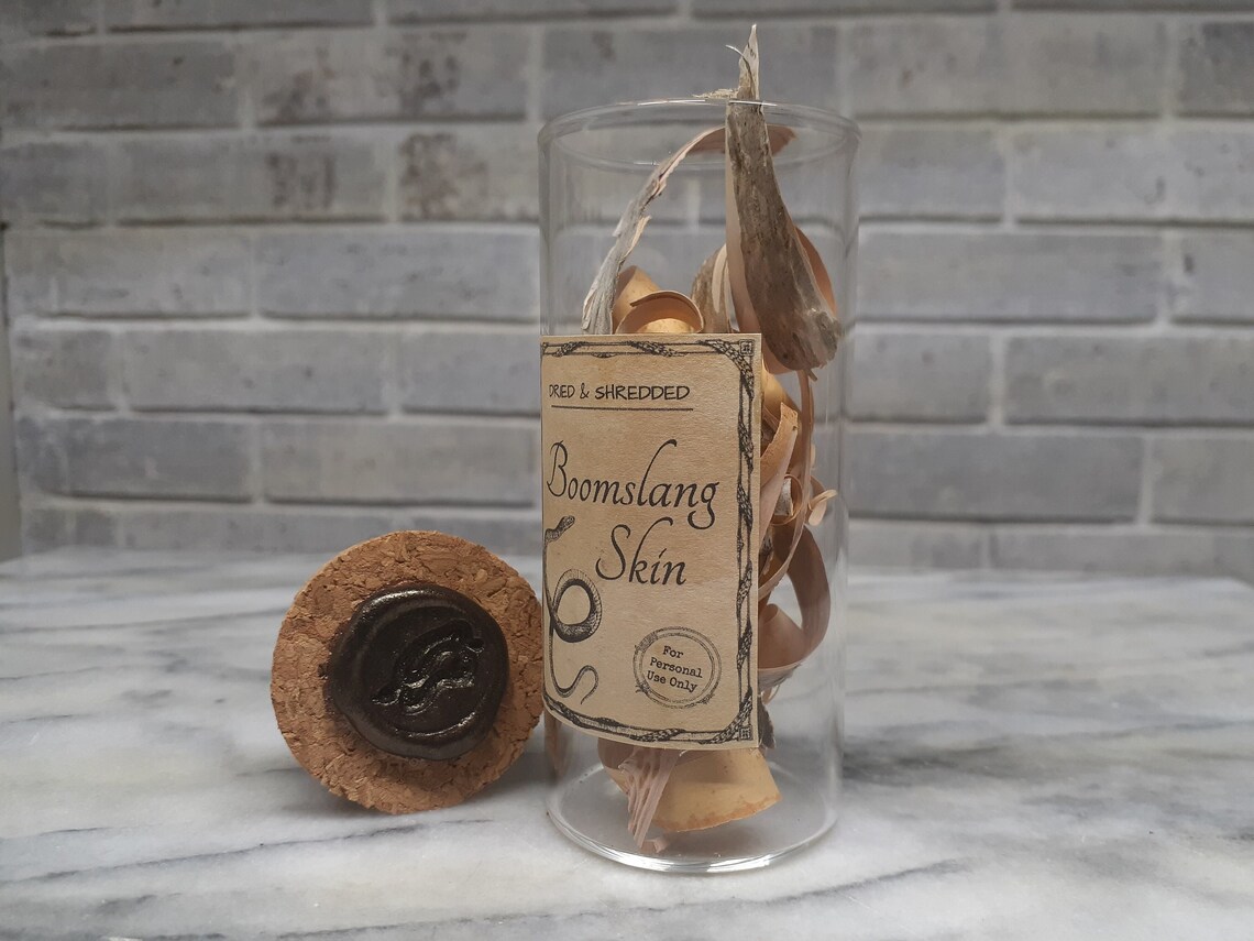 Boomslang Skin Magical Snake Skin Potion Ingredient Jar - Etsy