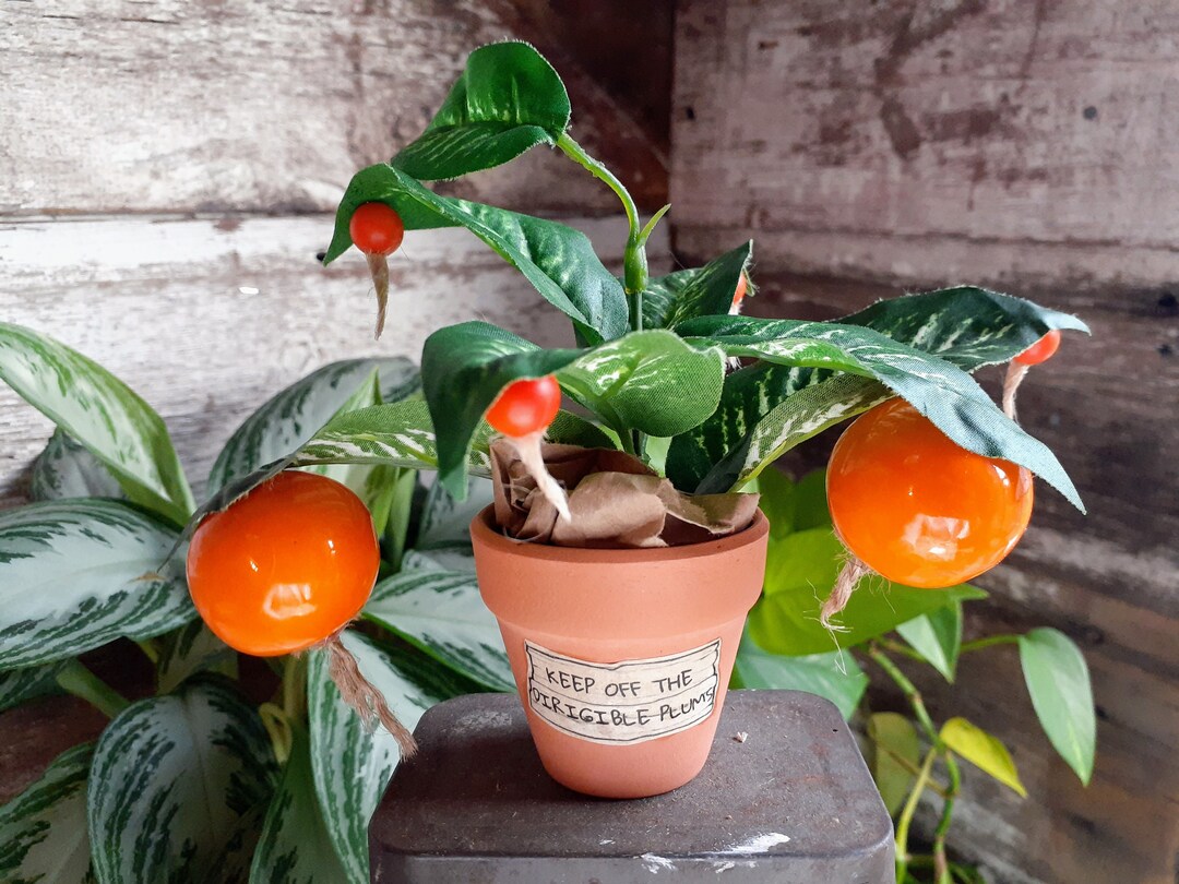 Dirigible Plums Magical Plant | Potted Herbology Replica | Witch ...