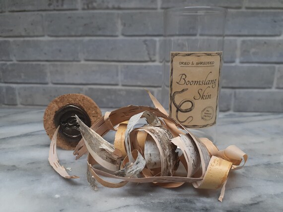 Boomslang Skin Magical Snake Skin Potion Ingredient Jar - Etsy