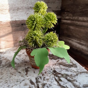 Mimbulus Mimbletonia Plant | Faux Potted Magical Plant | Neville ...