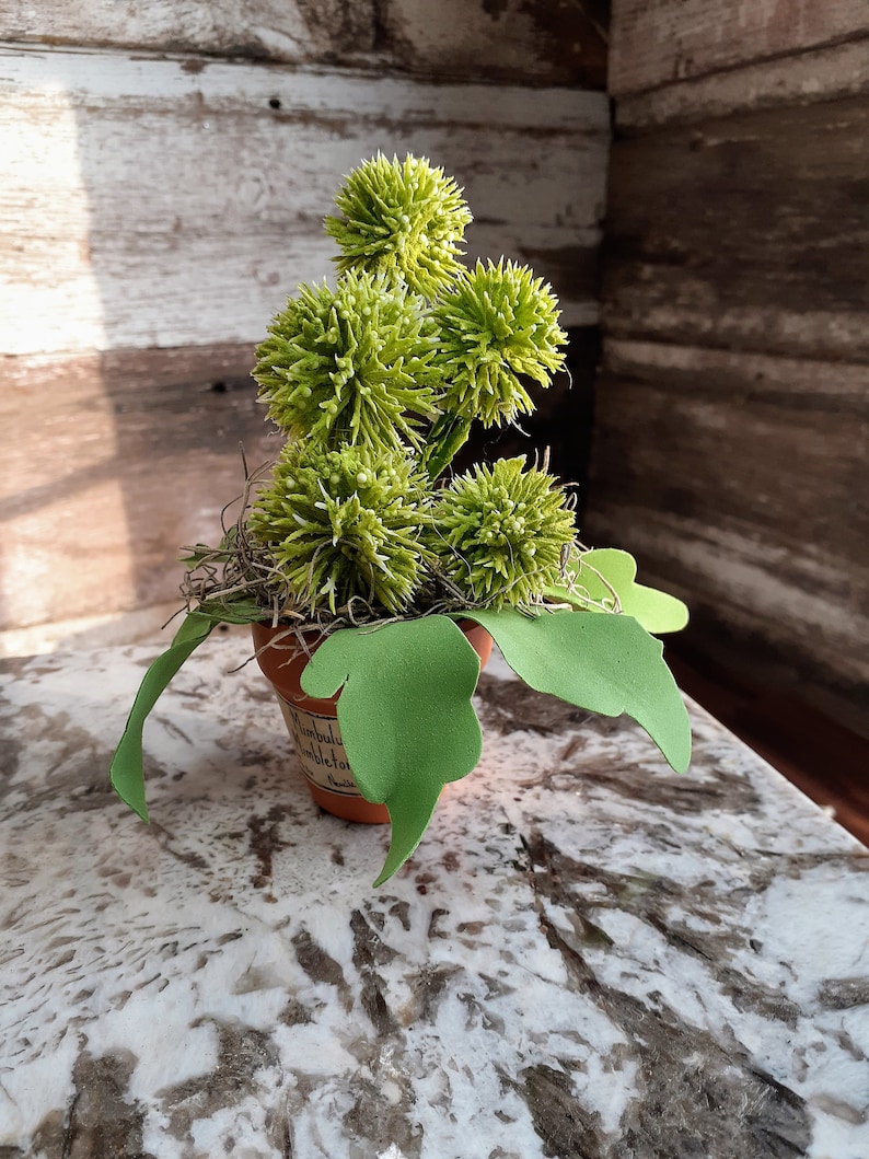 Mimbulus Mimbletonia Plant | Faux Potted Magical Plant | Neville ...