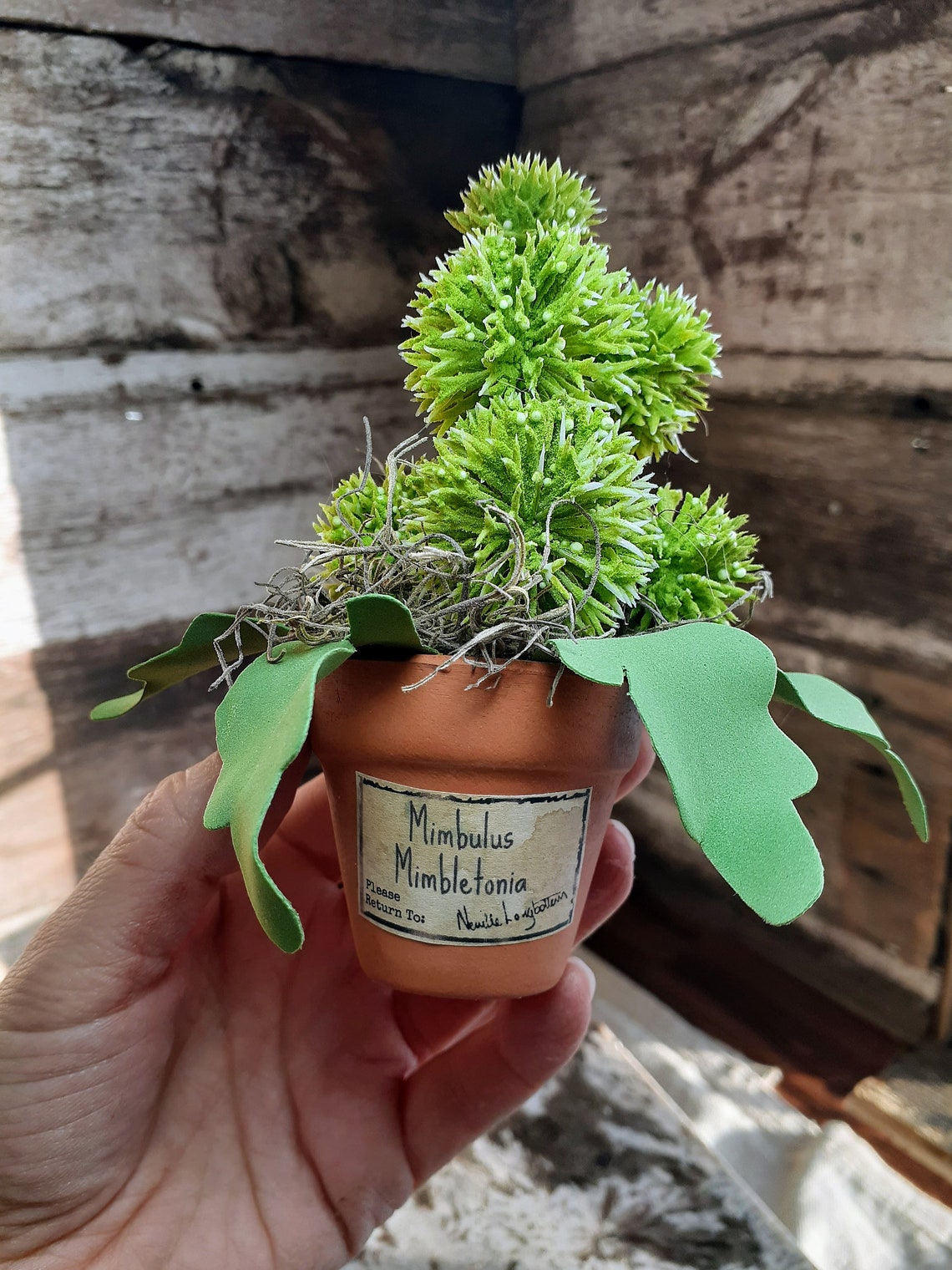 Mimbulus Mimbletonia Plant | Faux Potted Magical Plant | Neville ...
