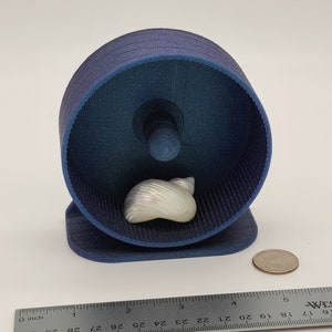 Hermit Crab Wheel Baby Hermit Crab Merry-go-round 3D Printed Baby ...