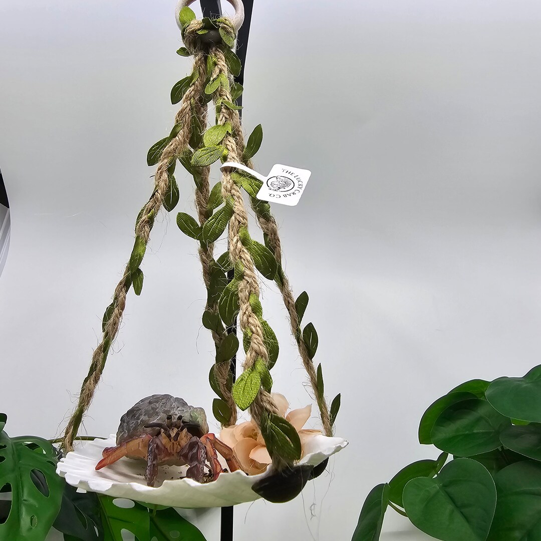 Hermit Crab Foraging Dish Hanging Shell Dish Hermit Crab Enrichment - Etsy