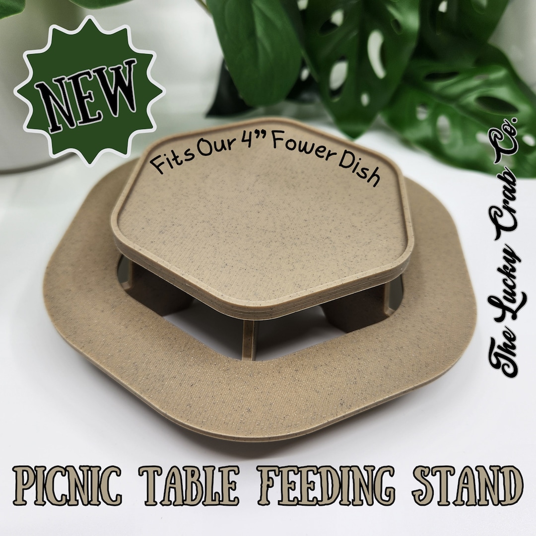 Hermit Crab Picnic Table Feeding Stand - 6" Diameter - Etsy