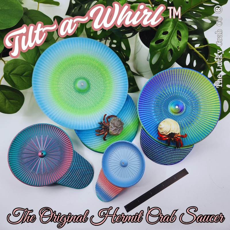 Wheel in a Whirl - Etsy