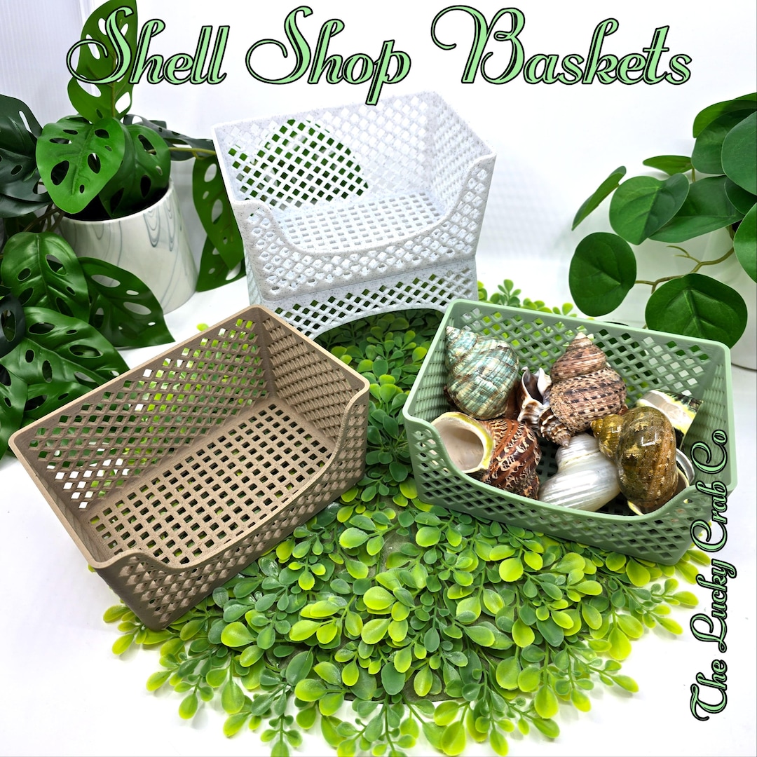 3D Printed Hermit Crab Shell Basket: Shell Shop Organizer - Etsy