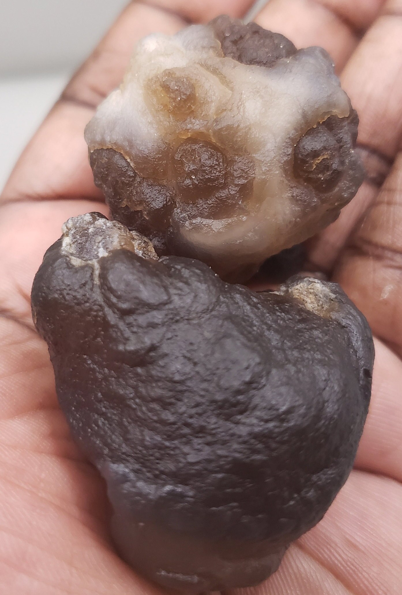 Rare Panda Agate Specimen From Morocco, Truffle Chalcedony - Etsy