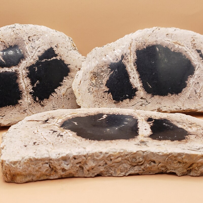 Lapidary Slabs Fossil - Etsy