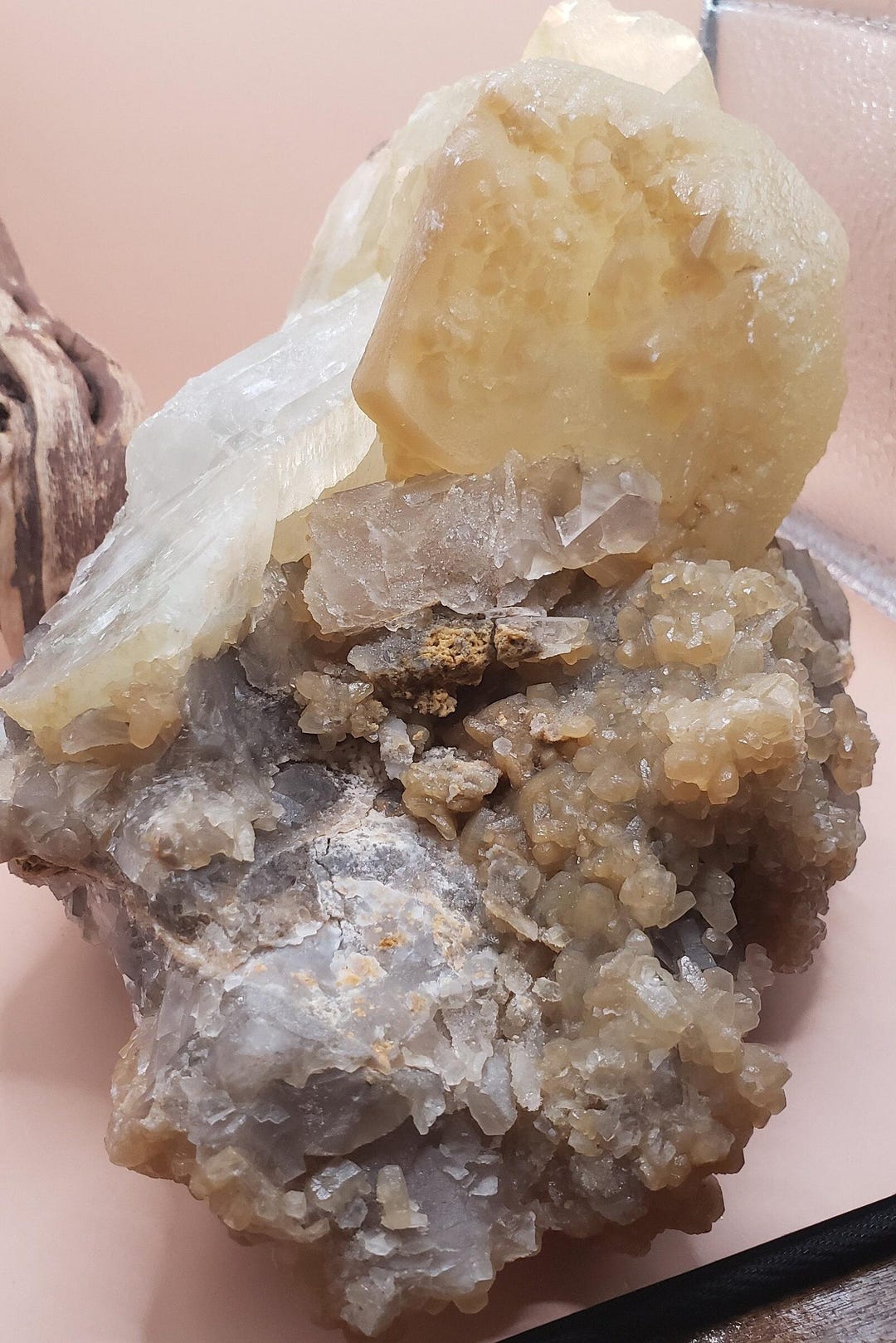 Gorgeous 6lb Clamshell Calcite Fossilized Clam Statement Piece ...
