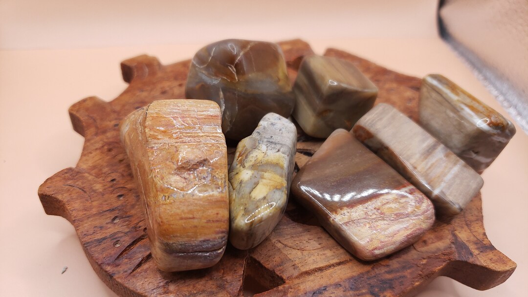 One 1 Petrified Wood Tumble Grounding Protection Calmness Crystal Grid ...